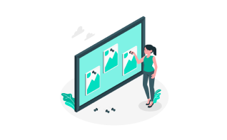 Star Computer Point Plus